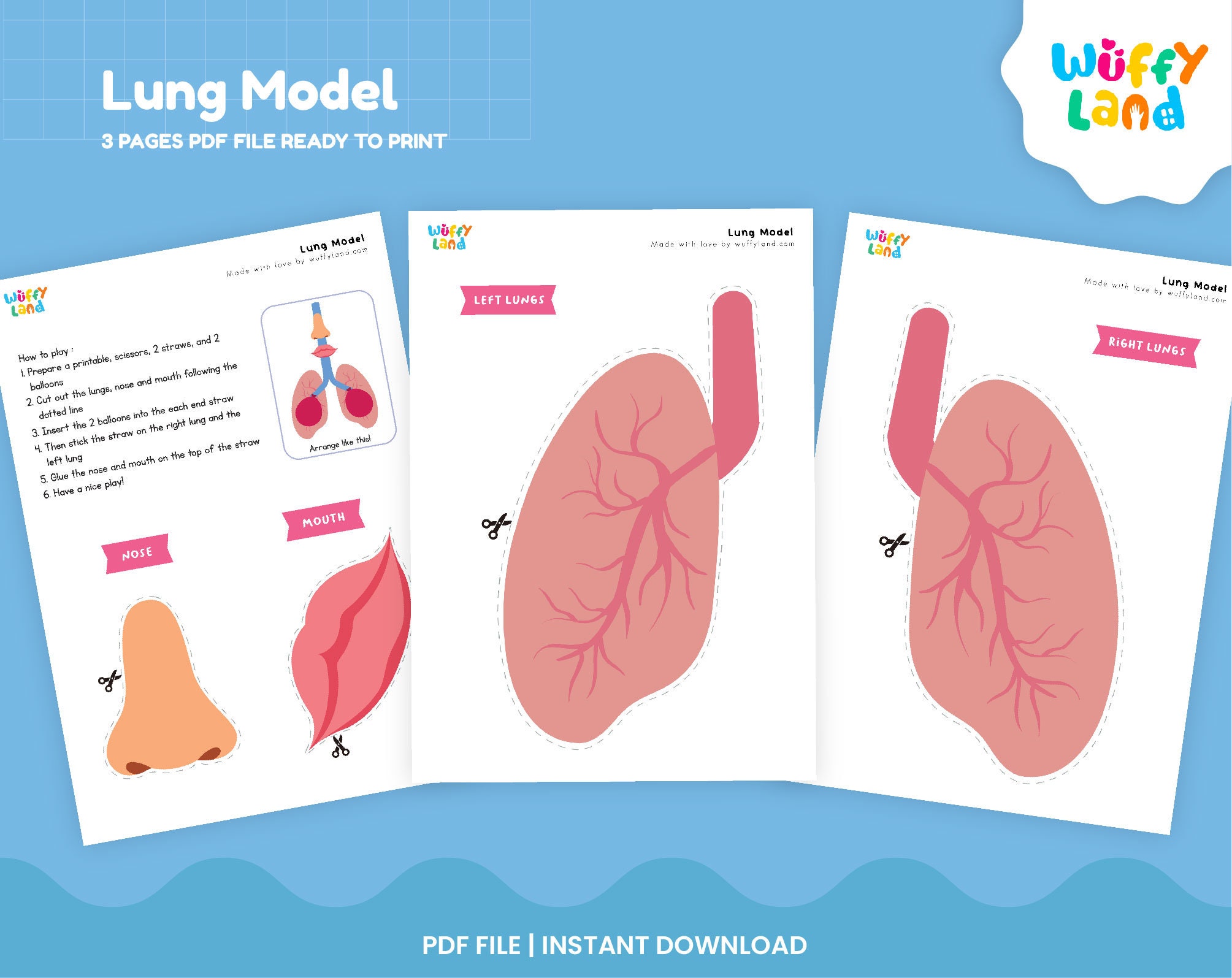 Lung Model, Lung Model Printable, Anatomy Printables, Lung Learning ...