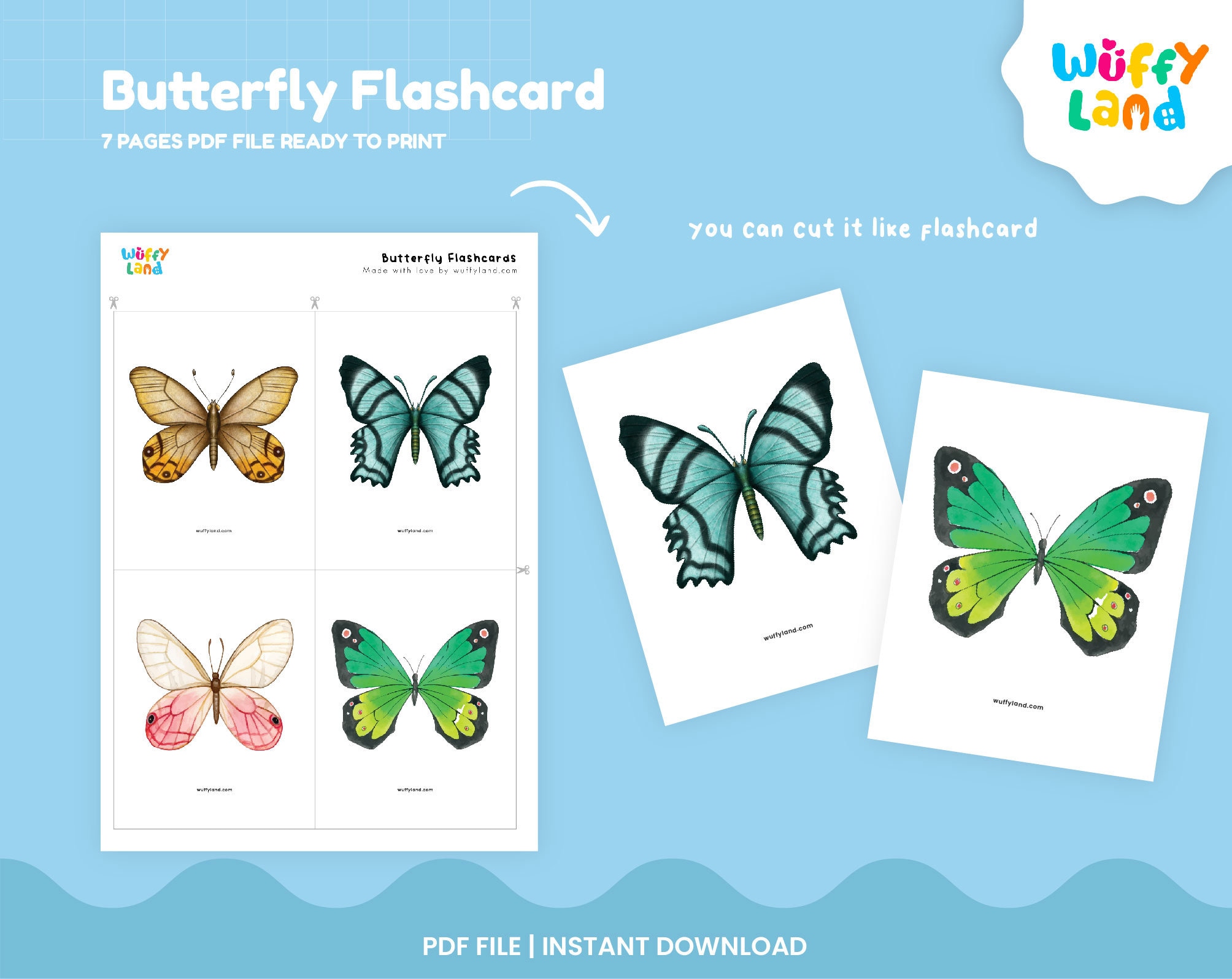 Butterfly Flashcards Butterfly Research Nature Study - Etsy