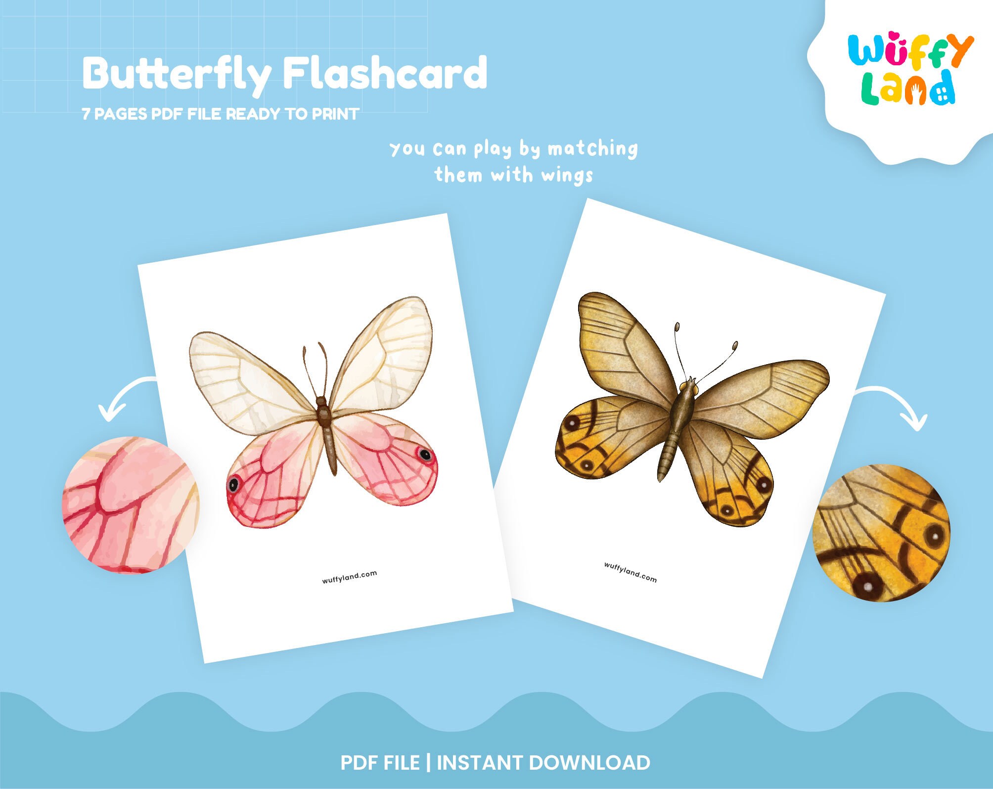 Butterfly Flashcards Butterfly Research Nature Study - Etsy