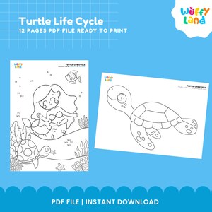 Turtle Life Cycle PDF Activity Worksheets Pack for Kids With Foldable ...