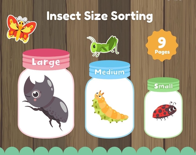 Sorting Bugs, Size Activity, Preschool Printables, Busy Binder ...