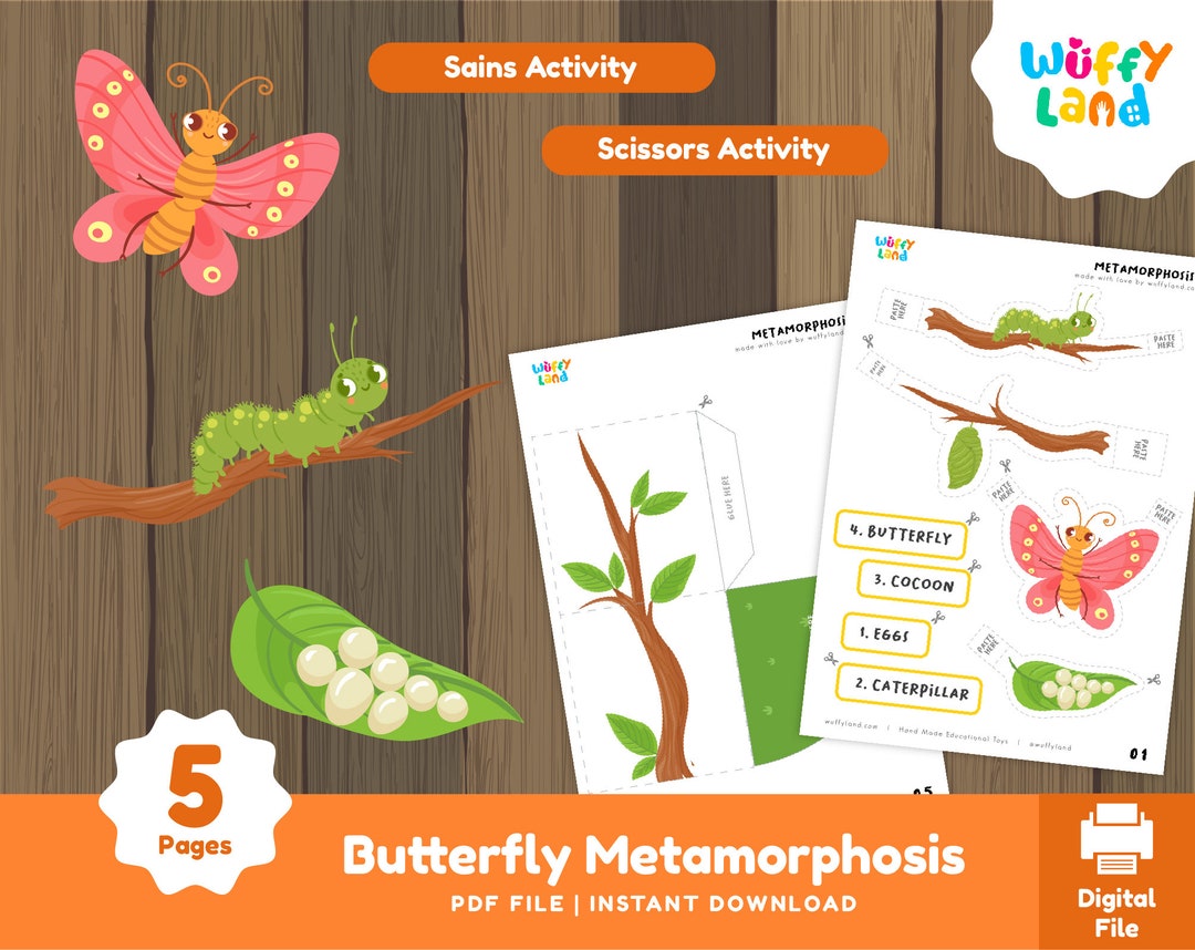 Butterfly Metamorphosis DIY for Kids Crafting for Preschool - Etsy
