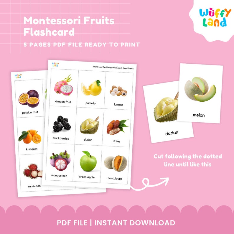 Montessori Fruits Flashcard, Handdrawing Fruit Flashcard, Toddler ...