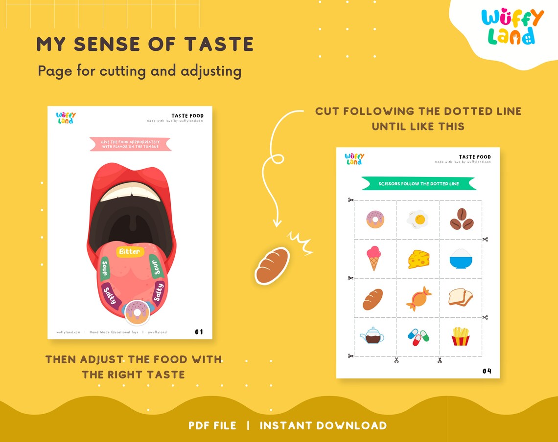Sense of Taste Games Sorting Food Based on Taste Homeschool - Etsy