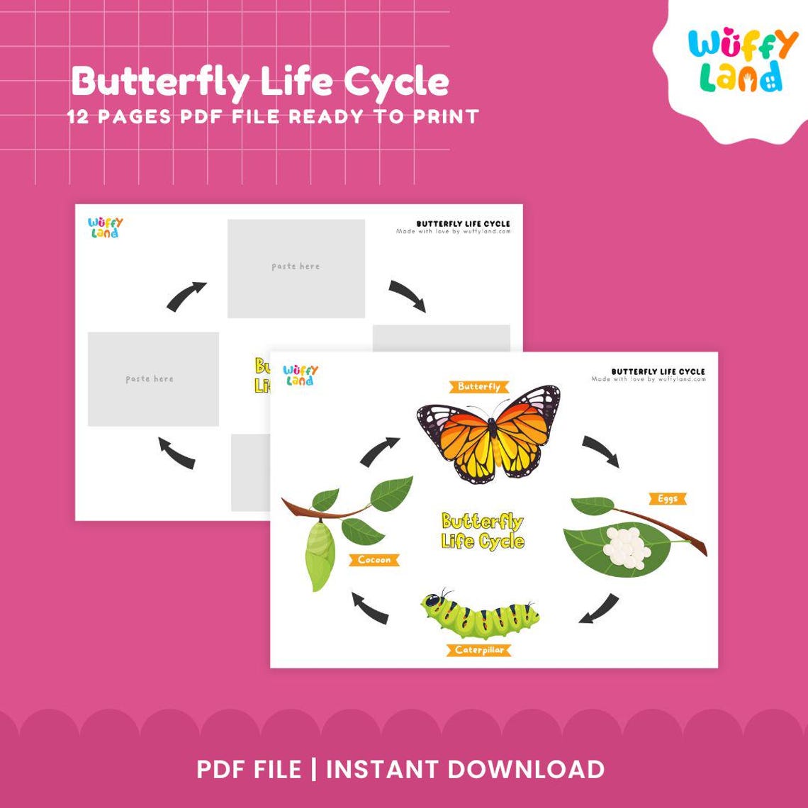 Butterfly Life Cycle Printable | Life Cycle Worksheet for Kids ...