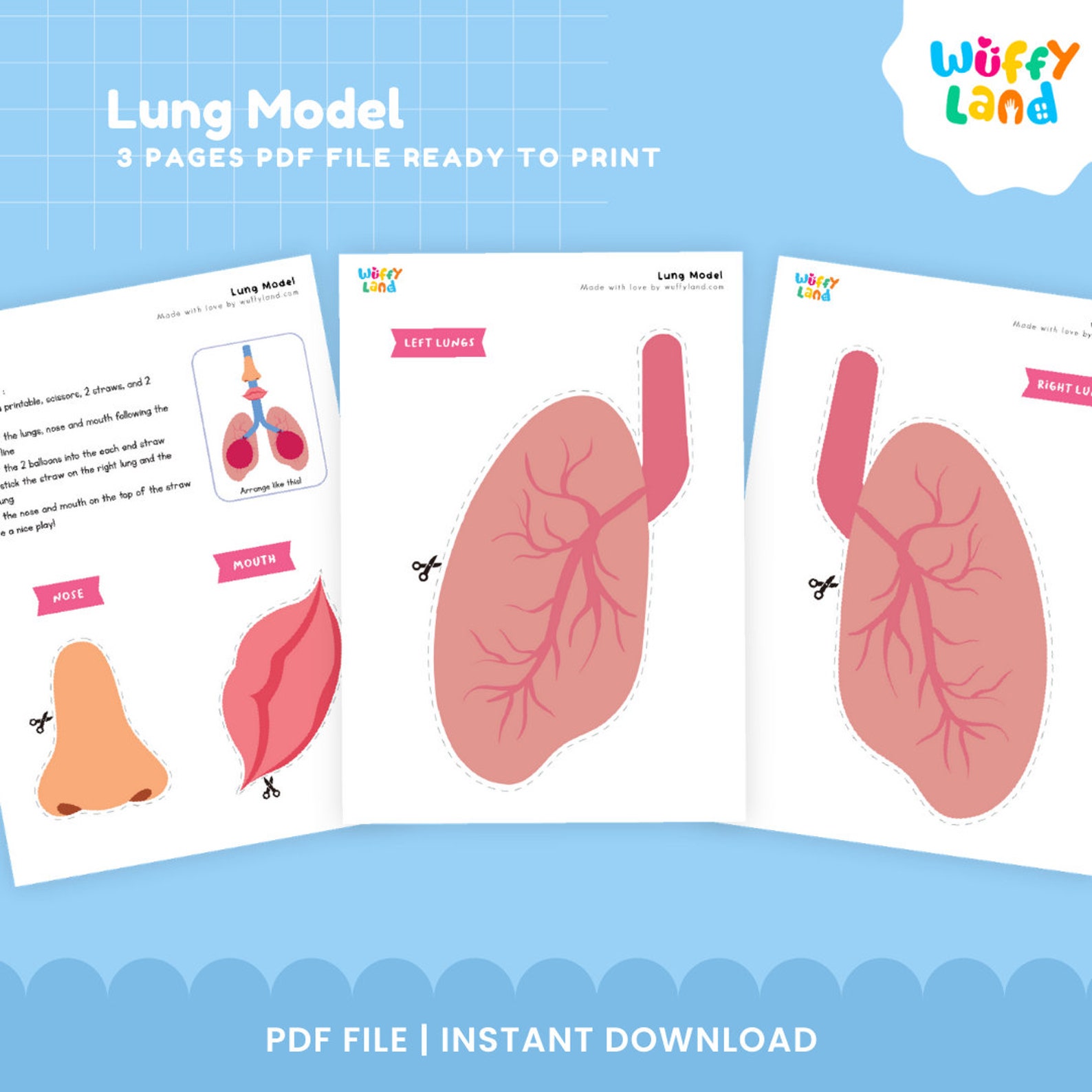 Lung Model, Lung Model Printable, Anatomy Printables, Lung Learning ...