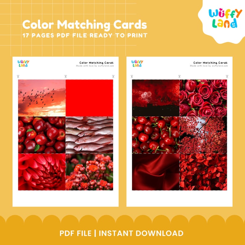 Coloring Matching Cards, Printable Matching Color, Flashcard Activity ...