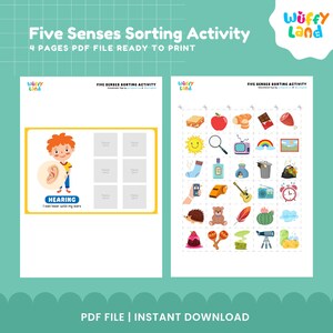 Five Sense Sorting Activity, 5 Sense Sorting, Printable Activity ...