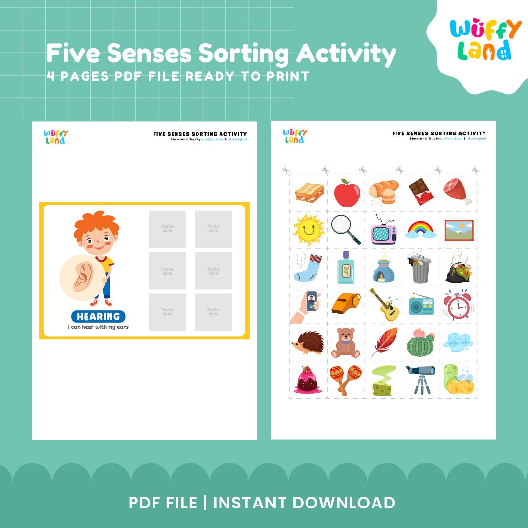 Five Sense Sorting Activity, 5 Sense Sorting, Printable Activity ...