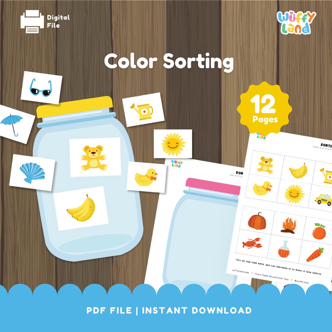 Fun Color Sorting Activity Montessori Learning Game, for File Folder ...