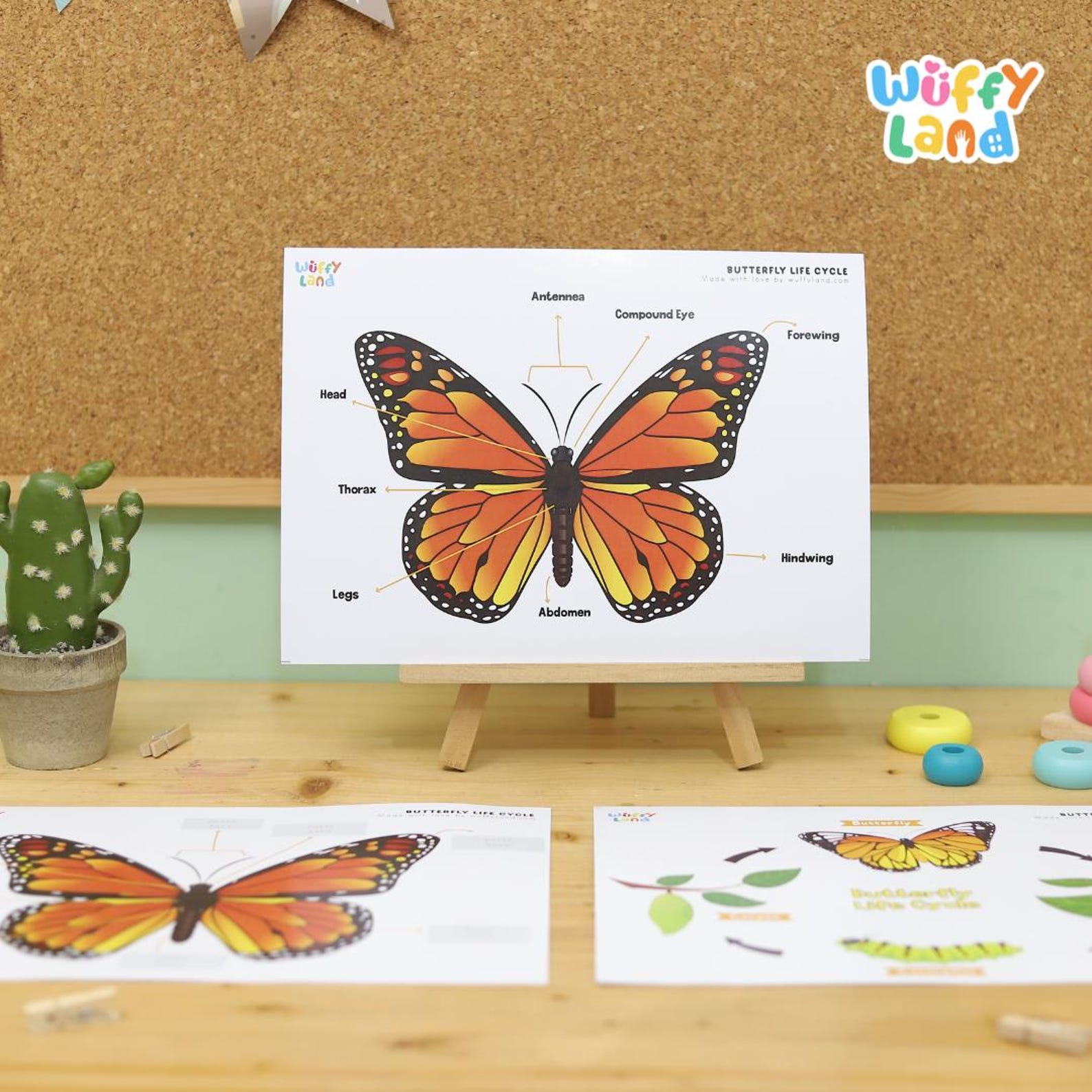 Butterfly Life Cycle Printable: Montessori Science Activity (PDF ...