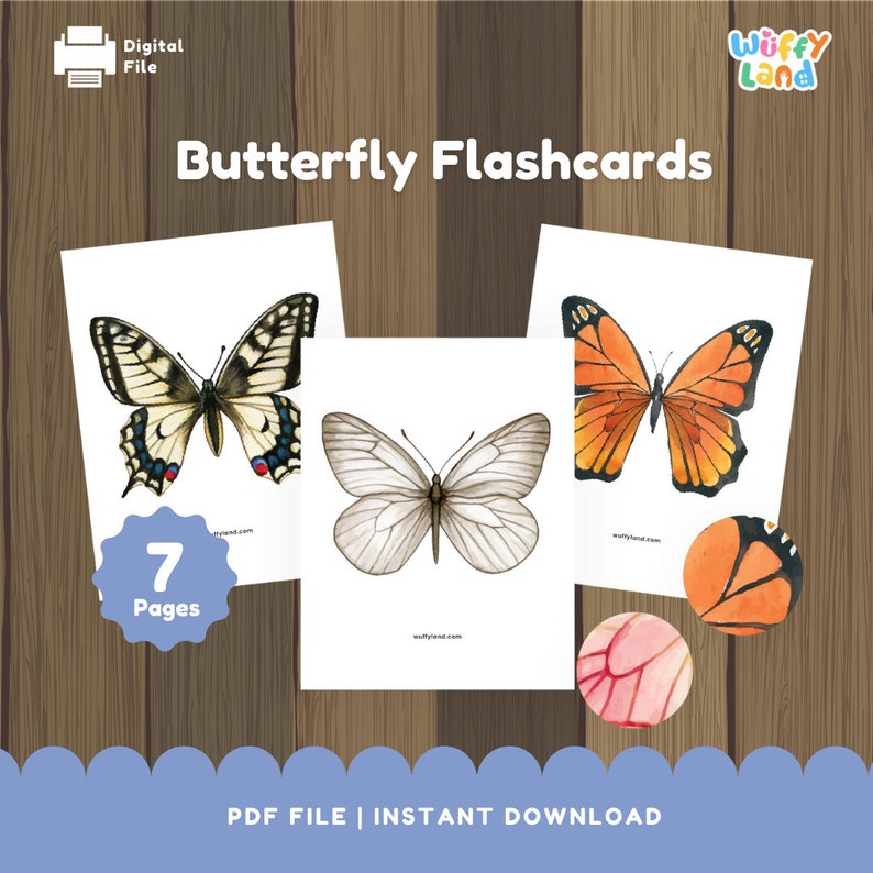 Butterfly Flashcards, Butterfly Research, Nature Study, Toddler ...