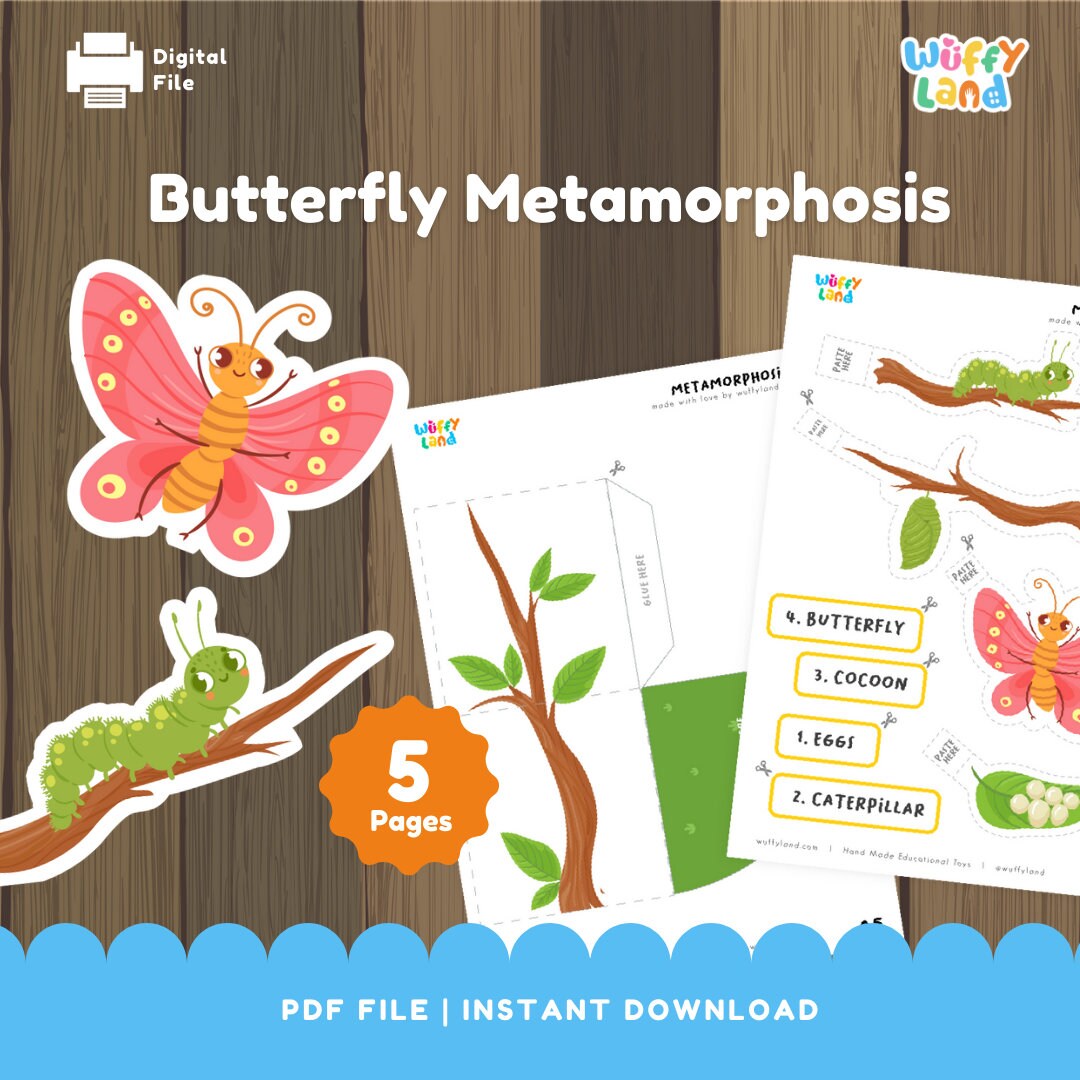 Butterfly Metamorphosis, DIY for Kids, Crafting for Preschool and ...