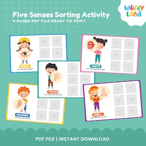 Five Sense Sorting Activity, 5 Sense Sorting, Printable Activity ...