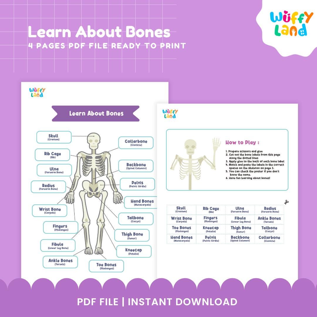 Learn About Bones - Human Skeleton Labeling Activity - Fun Science ...