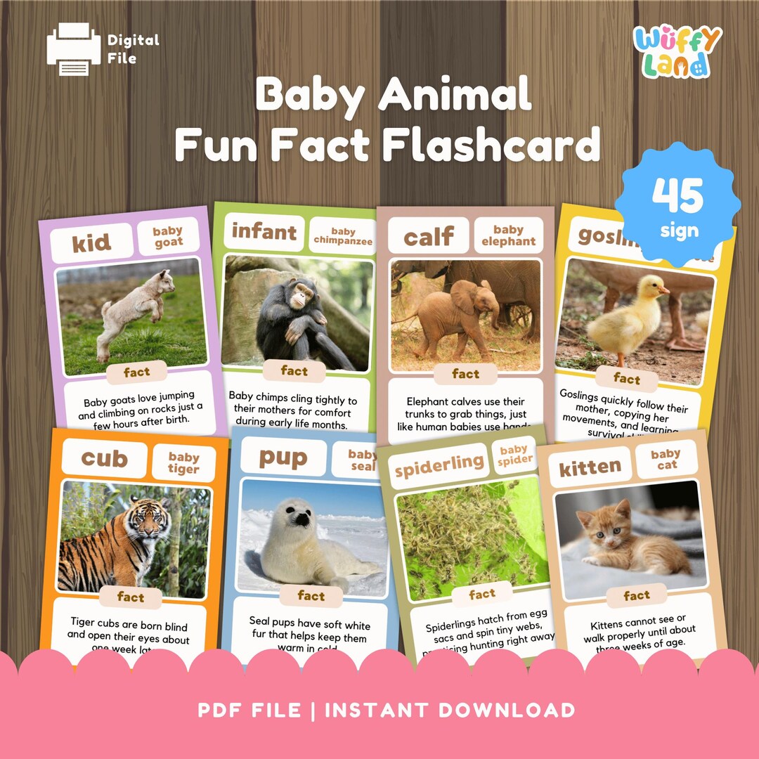 Baby Animal Fun Fact Flashcards | Printable Science Vocabulary Cards ...