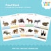 Animal Word Flashcards, Printable Animal Themed Flashcards, Montessori ...
