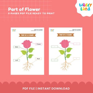 Parts of a Flower Worksheet - Labeling & Cut and Paste Activity - Plant ...