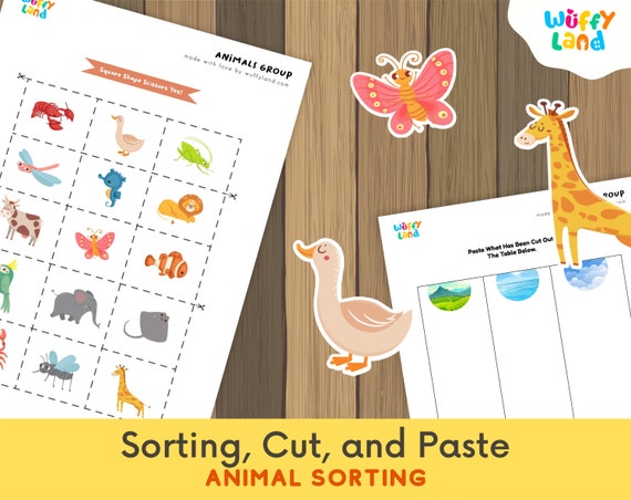 Animal Sorting Activity Busy Book Animal Sorting Cards - Etsy