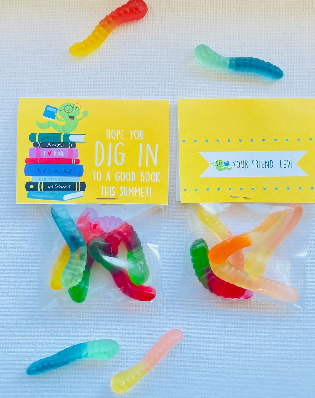 Teacher and Class Book Worm Bag Toppers and #1 in My Books, Teacher ...