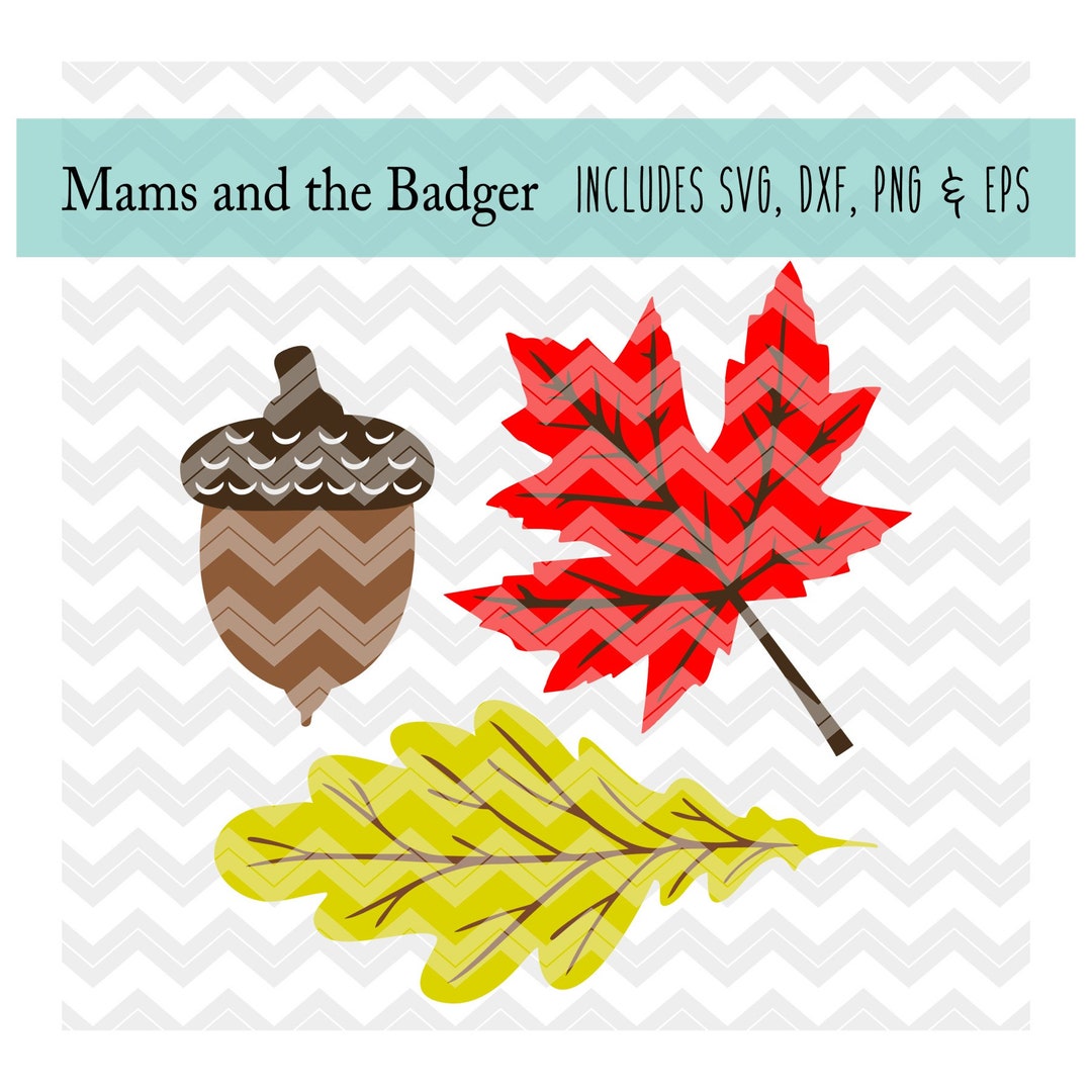 Fall Leaves Bundle Svg, Maple Leaf Digital, Autumn Acorn, Oak Leaf ...