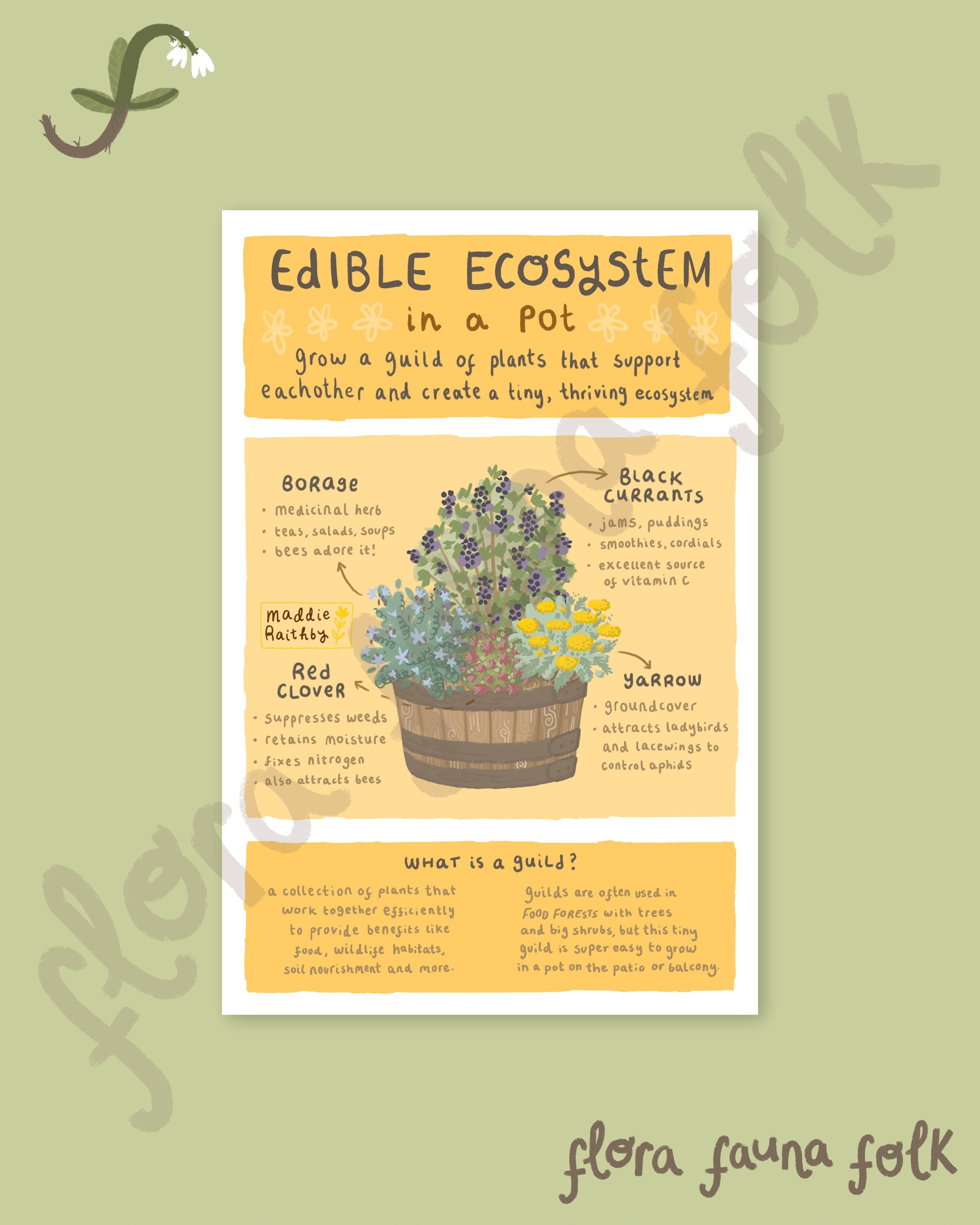 Edible Ecosystem Infographic A6 Art Print Postcard - Etsy