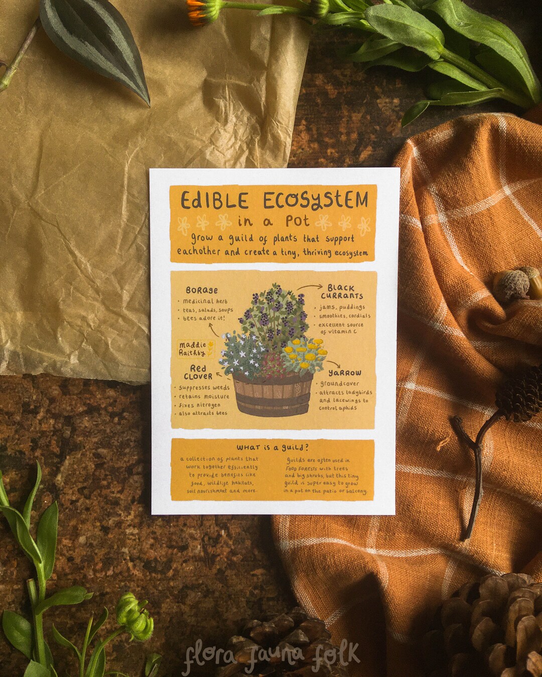 Edible Ecosystem Infographic | A6 Art Print Postcard - Etsy
