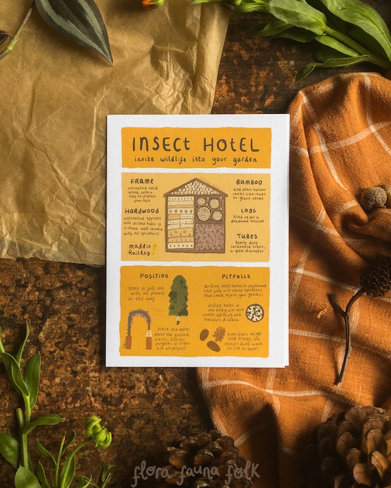 Insect Hotel Infographic A6 Art Print Postcard | Etsy