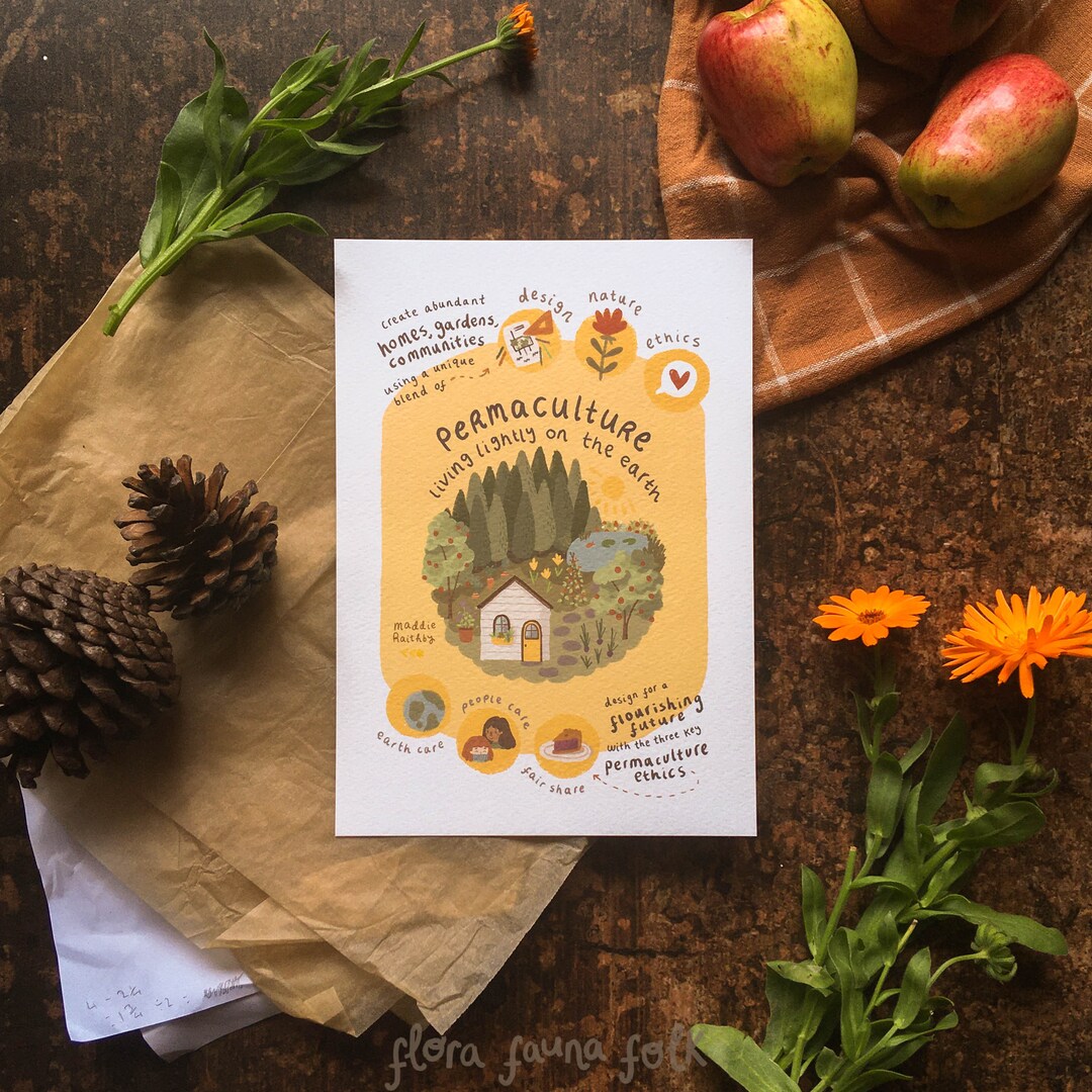 Permaculture Illustration Infographic | A5 Art Print - Etsy