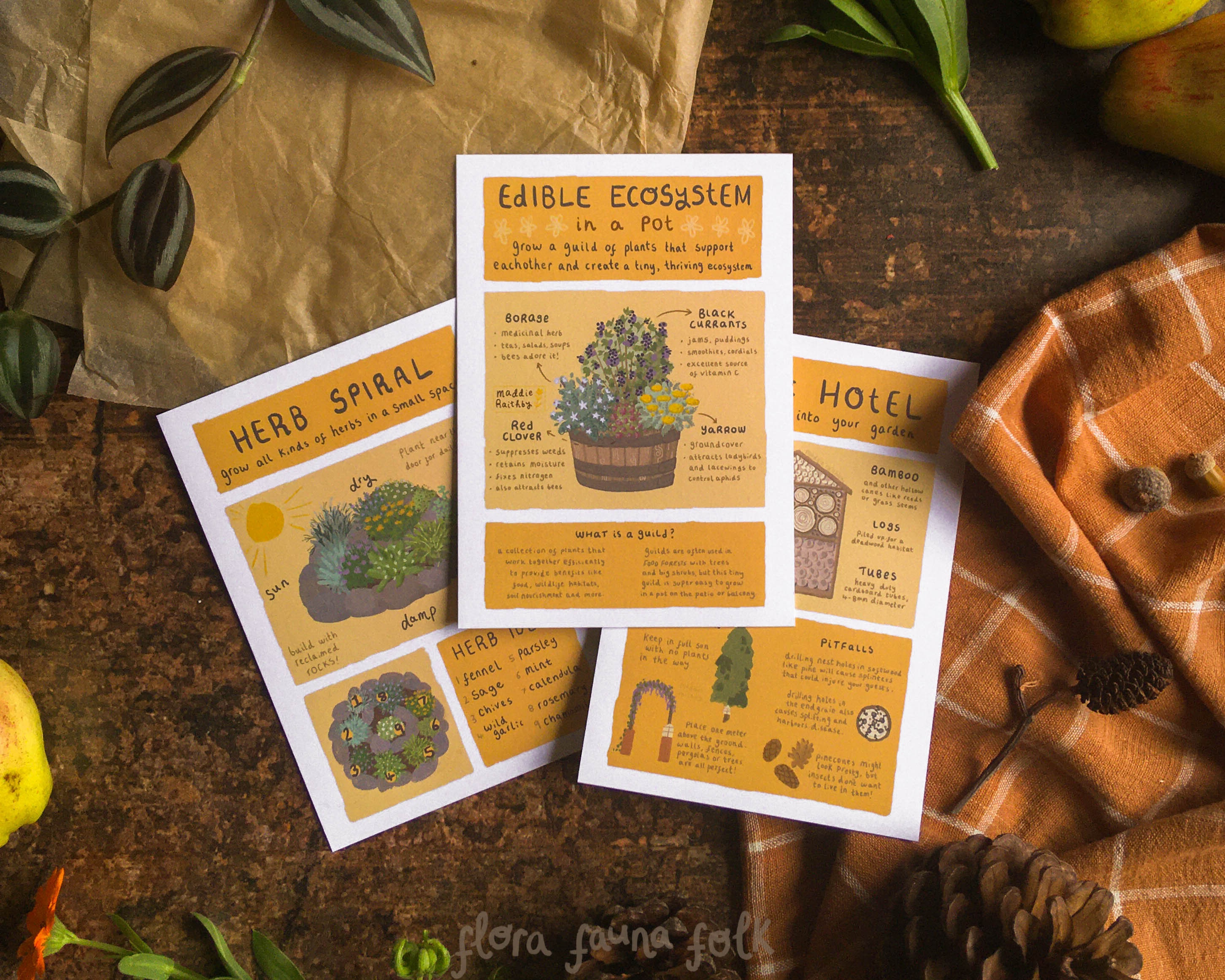 Edible Ecosystem Infographic | A6 Art Print Postcard - Etsy