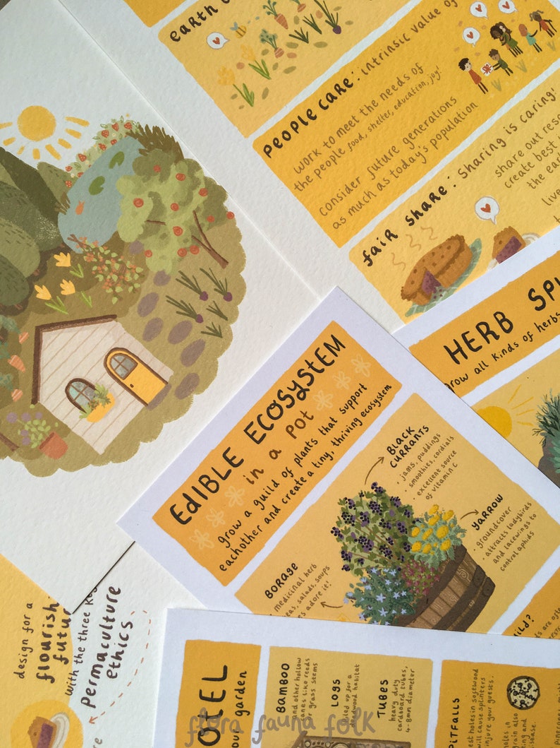 Permaculture Illustration Infographic | A5 Art Print - Etsy