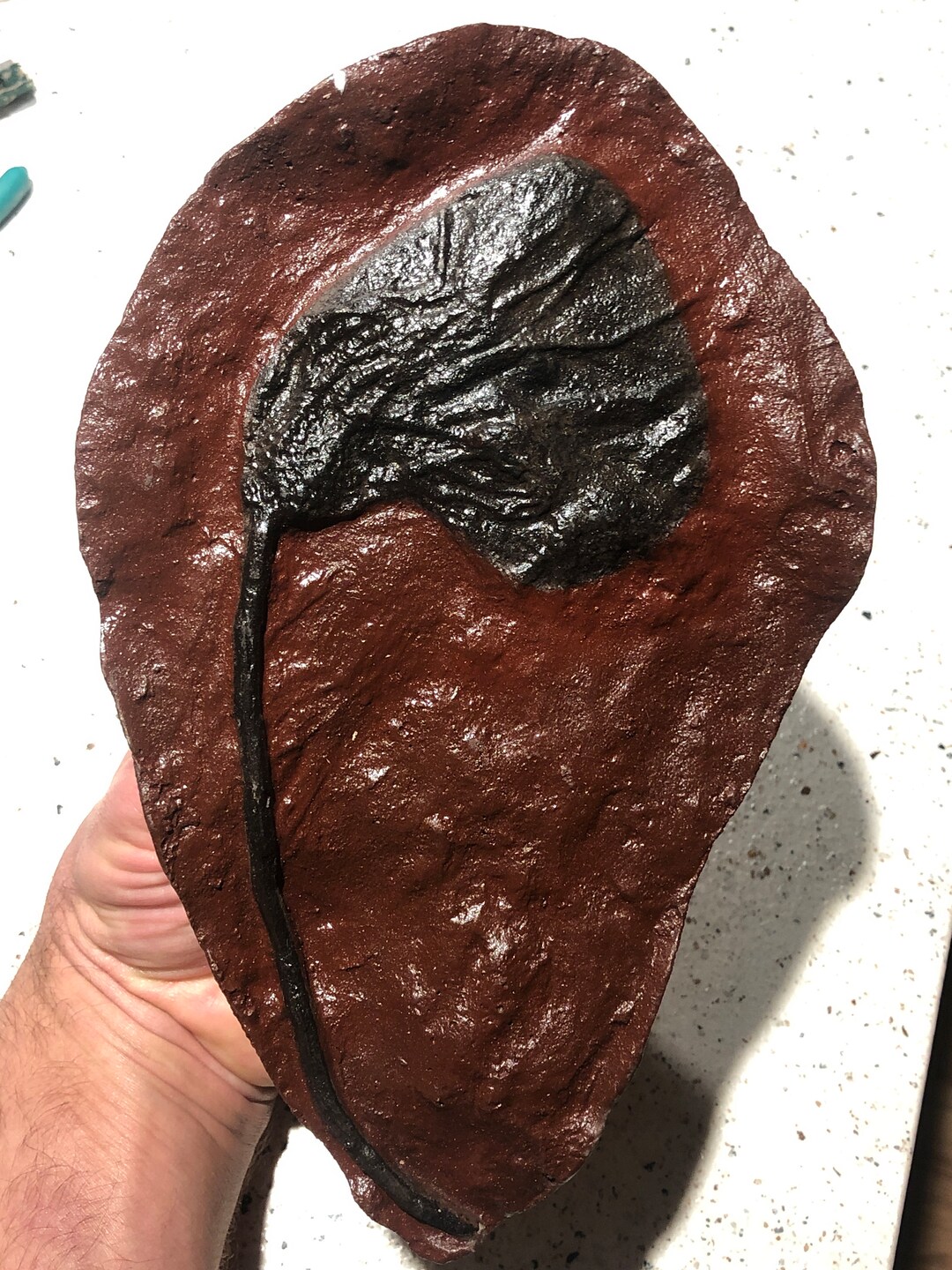 Large Beautiful Ancient Cambrian/permian Crinoid Fossil - Etsy