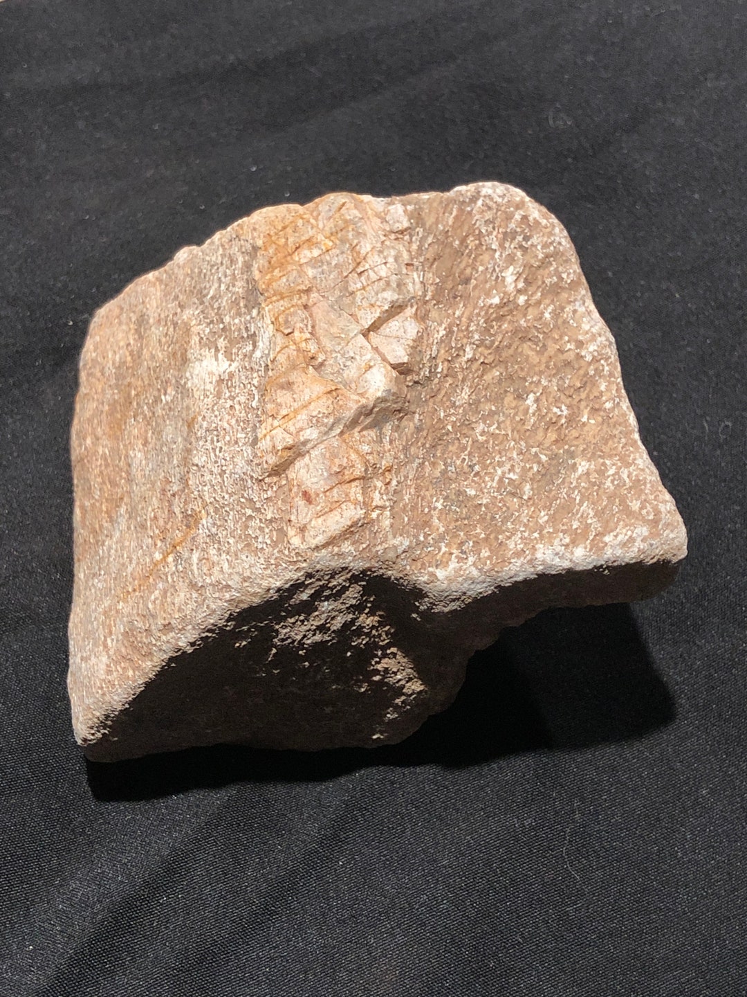 Large Spinosaurus Leg Bone Fragment Morocco Dinosaur Find - Etsy