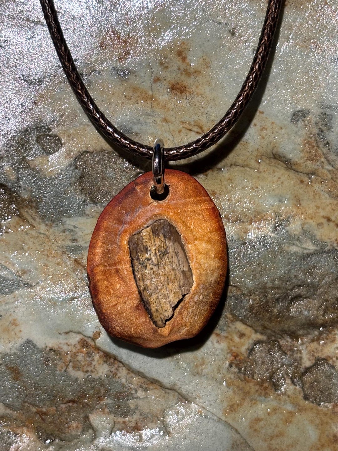 Dinosaur Bone Fossil Avocado Seed Pendant - Etsy