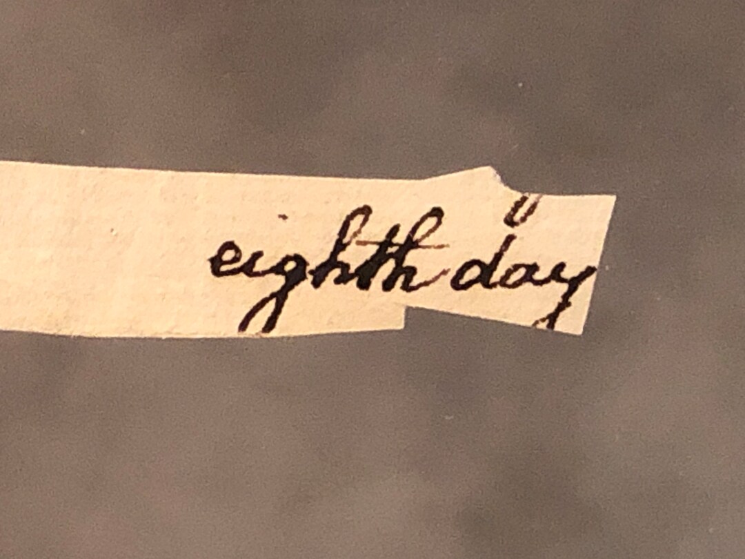 Original Handwriting of President John Quincy Adams Amazing - Etsy