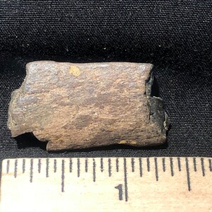 Triceratops Dinosaur Rib Bone Fossil - Etsy