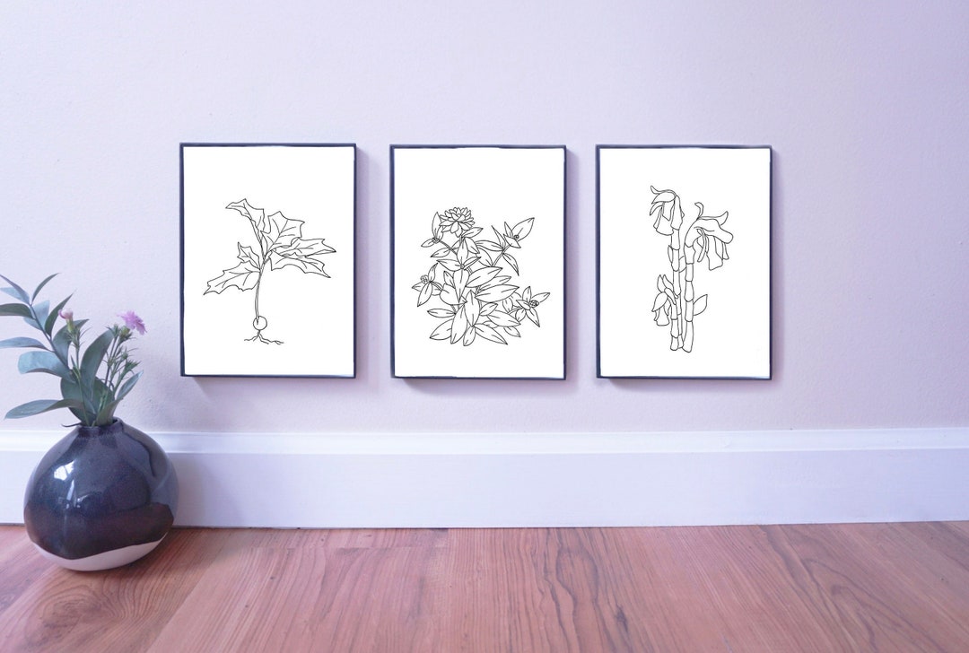 Plant and Nature Printable Set of Three Line Drawings 8" X 10" Wall Art ...