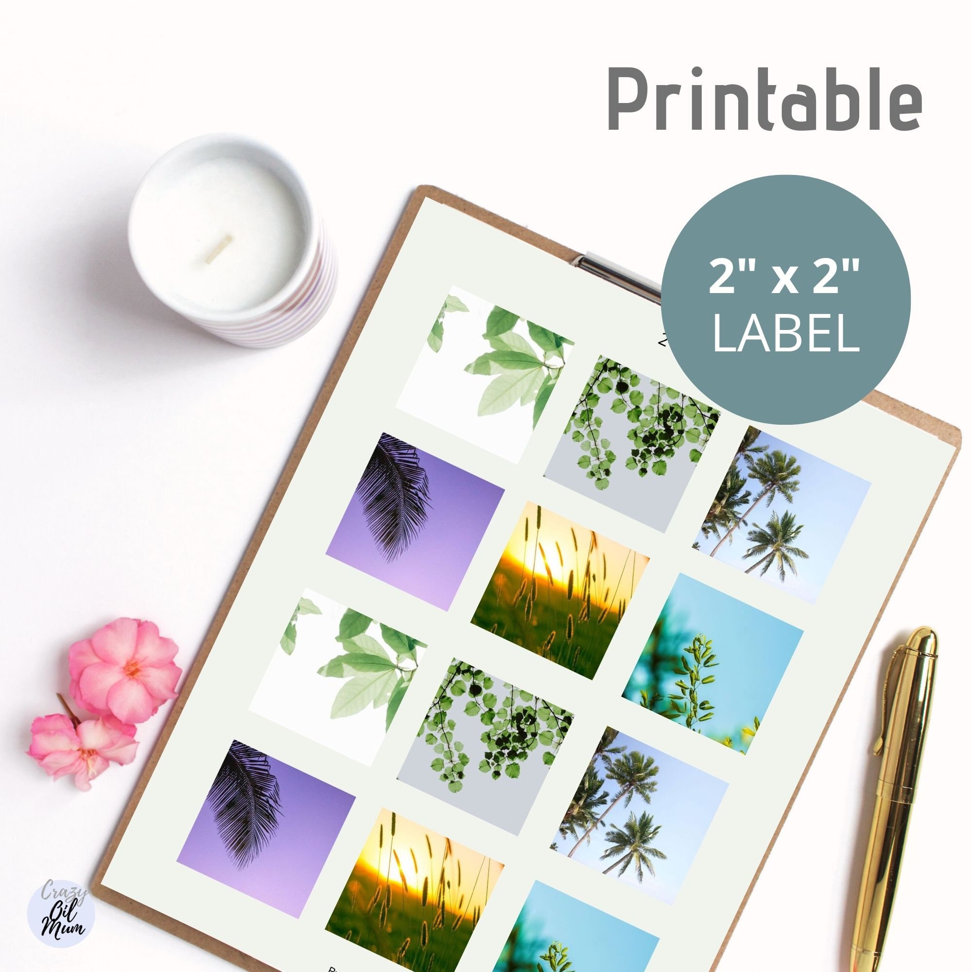 Plants Digital Download Sticker Printables Plants Sticker - Etsy Hong Kong