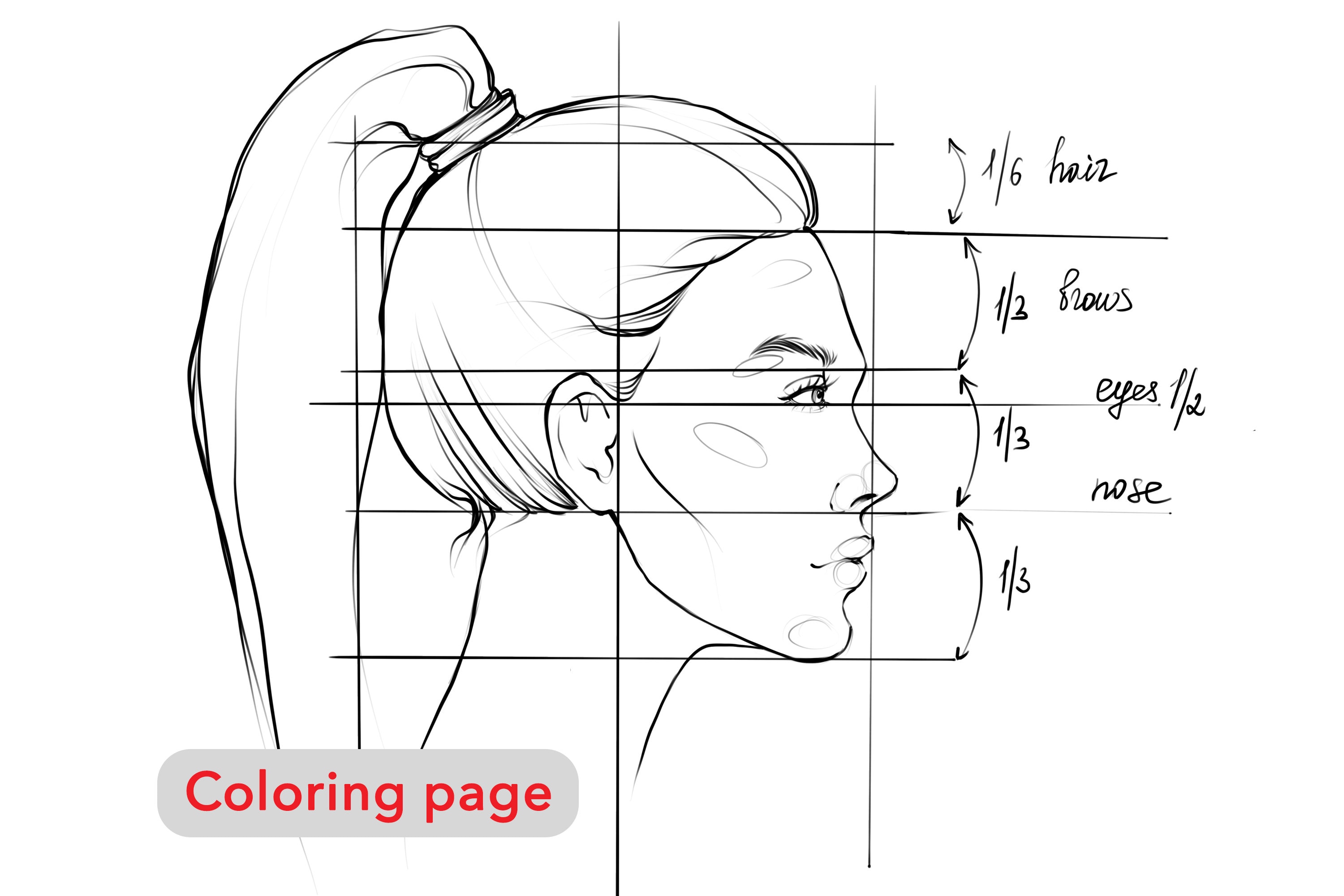 Female Face Proportions Drawing
