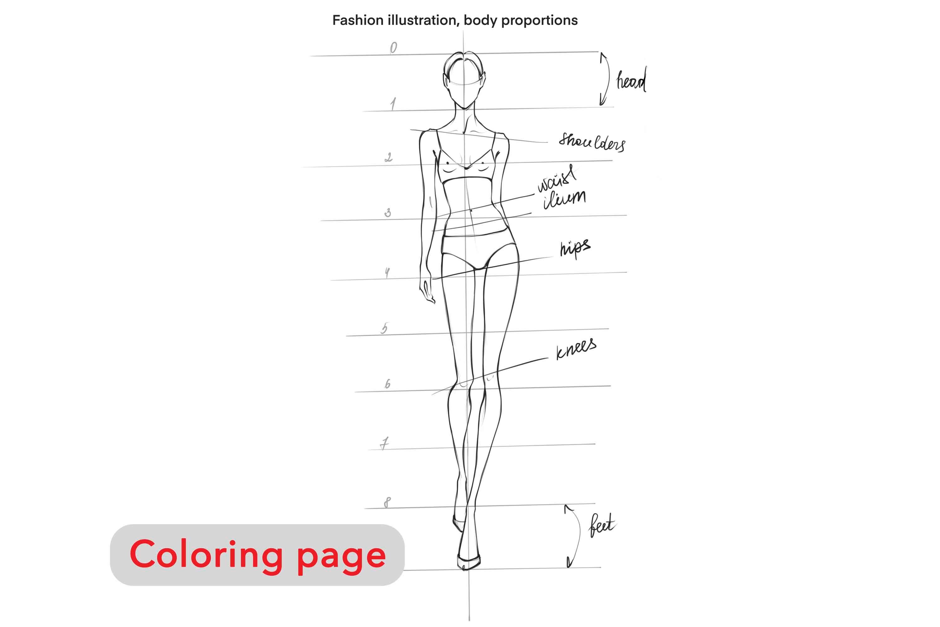 Premium Coloring Page - Women Body Proportions - Adult Coloring Pages ...