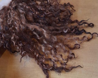 Teeswater Curly Wool, 15-20cm Long, Natural, Un-dyed, for Spinning ...