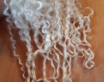 Teeswater Curly Wool, 15-20cm Long, Natural, Un-dyed, for Spinning ...