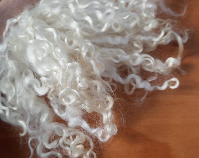 Teeswater Curly Wool, 15-20cm Long, Natural, Un-dyed, for Spinning ...