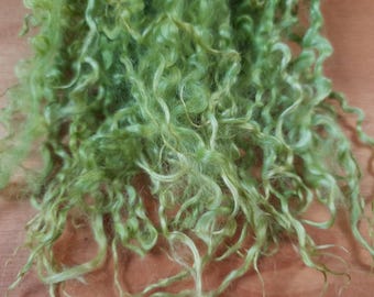 Teeswater Curly Wool, 15-20cm Long, Natural, Un-dyed, for Spinning ...