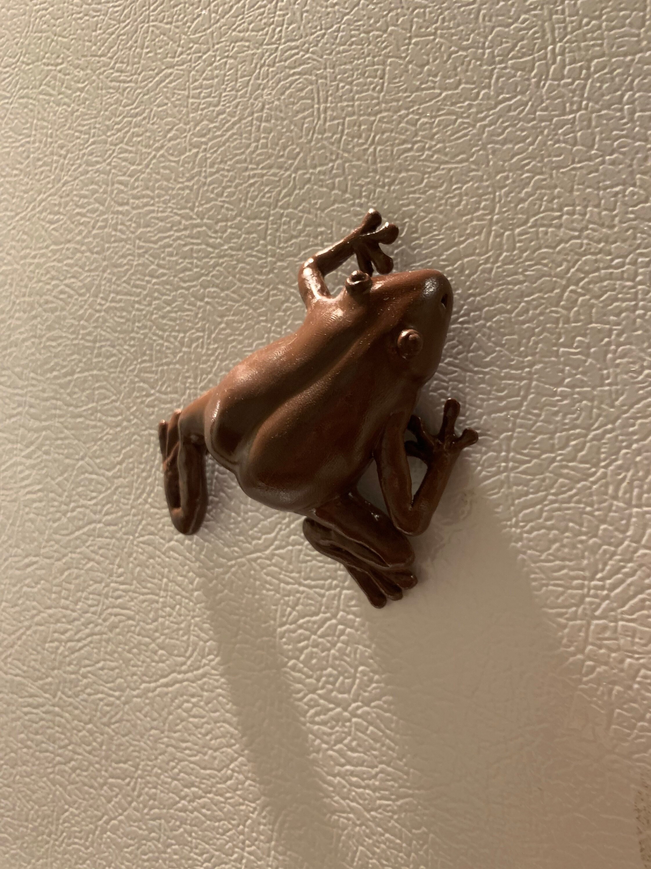 Bespoke Chocolate Frog Fridge Magnet - Etsy UK