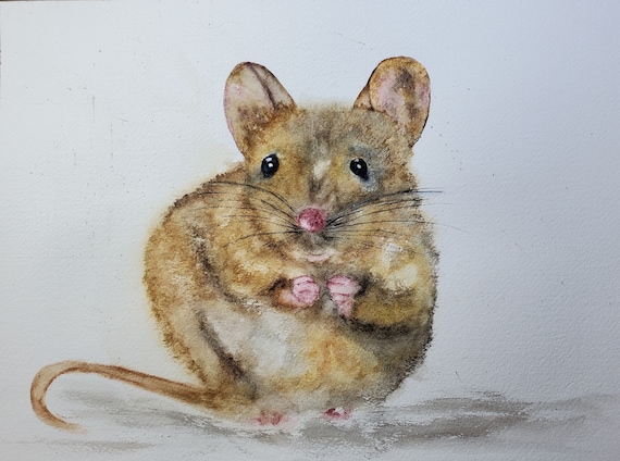Julius Cheeser Watercolor Print field Mouse Wildlife Free - Etsy