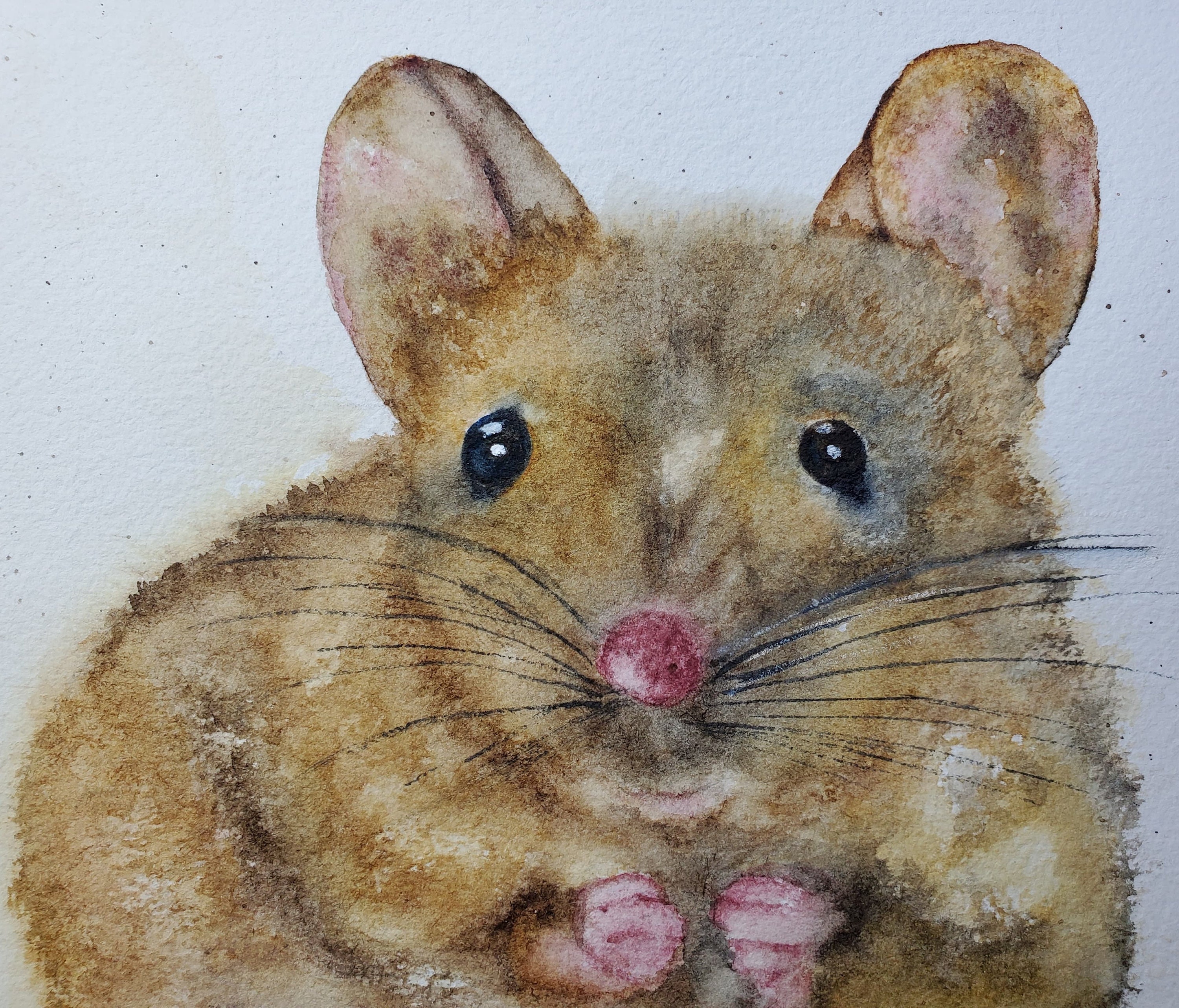 Julius Cheeser- Watercolor Print -field Mouse - Wildlife - Etsy