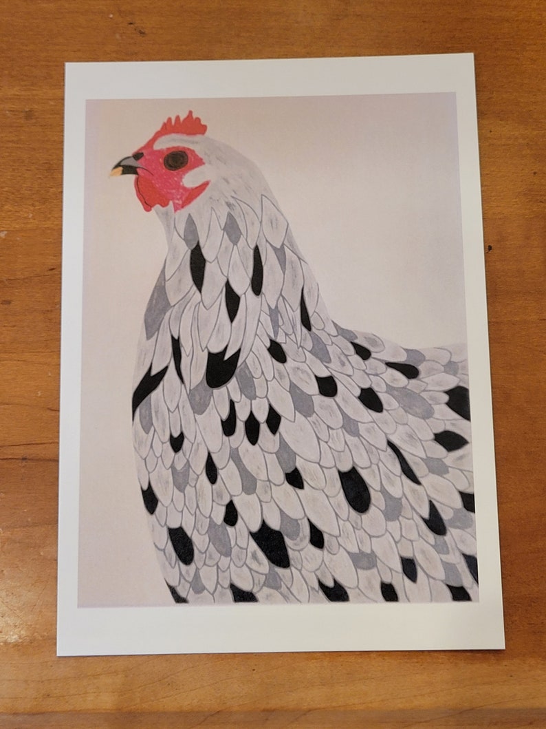 Blue Splash Orpington Chicken - Etsy