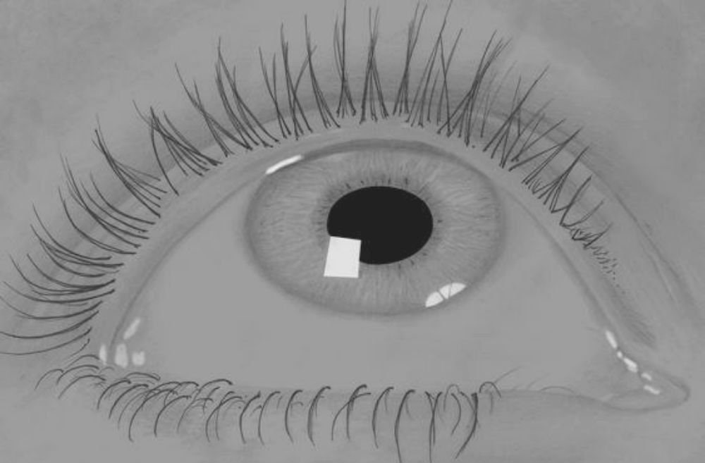 Beautiful Hyper Realistic Eye Pencil and Ink - Etsy