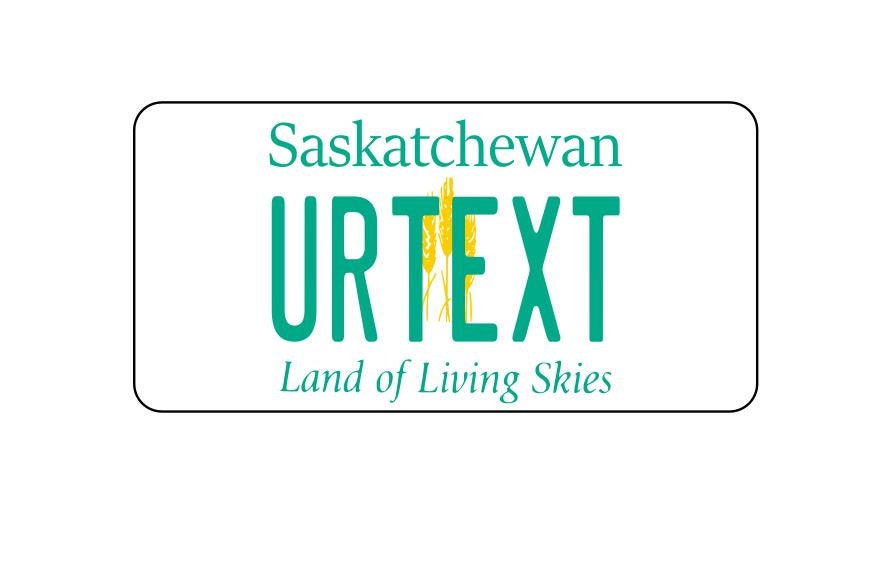 Custom Made-to-Order Saskatchewan-Style License Plates Your | Etsy